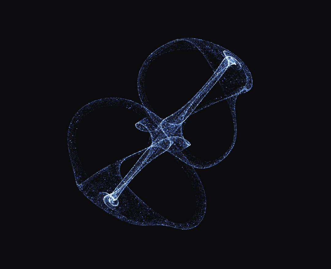Strange Attractors | Shashank Tomar
