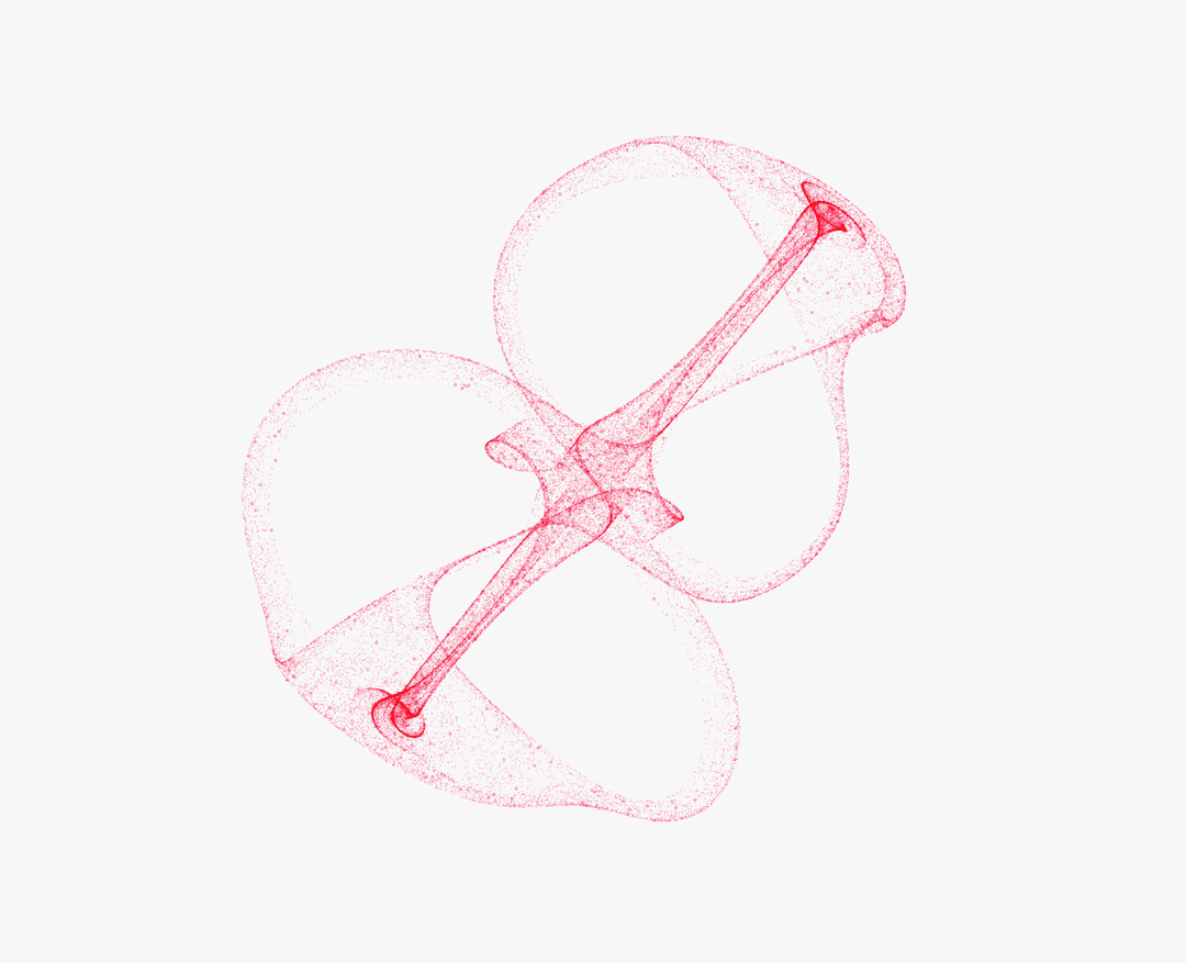 Strange Attractors | Shashank Tomar